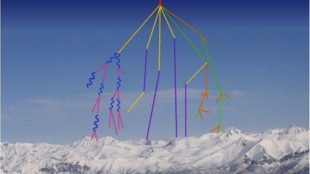 The next Grand Solar Minimum, Cosmic Rays and Earth Changes (an ...